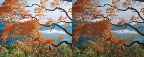 Why Do My Print Colors Not Match My Monitor? | Fine Art Photo Printing ...